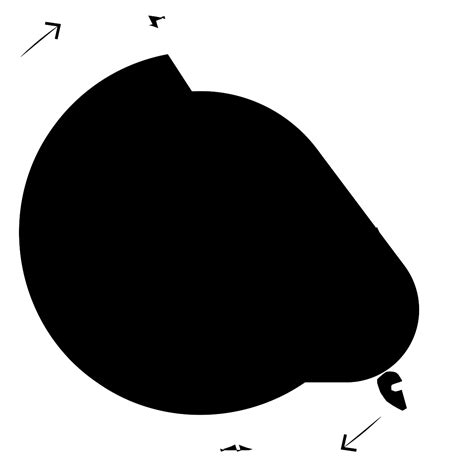 Al Jouw Vragen Over Einde Lease Beantwoord Cyclis