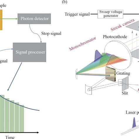 the schematic of time‐resolved fluorescence spectroscopy a tcspc