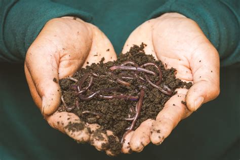 How Composting Has Gone High Tech Compost Guide