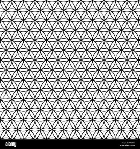 Sacred Geometry Black Flower Of Life Texture Geometric Pattern