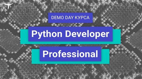 Demo Day курса Python Developer Professional Youtube