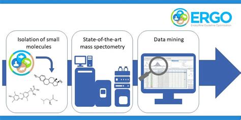 From The Ergo Machine Room Expanding On The Traditional Scientific