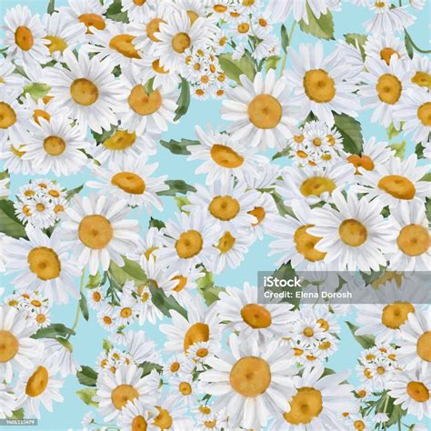 수채화 데이지가있는 완벽한 경계 손으로 그린 식물 그림 직물 종이 및 기타 인쇄 및 웹 프로젝트를위한 꽃 이음새가 없는 테두리 0명에 대한 스톡 벡터 아트 및 기타 이미지