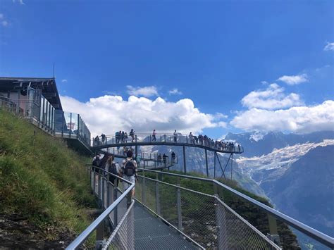 Grindelwald First Alles Was Du 2025 Zum Top Of Adventure Wissen Musst