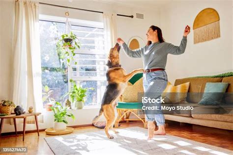 집에서 거실에서 그녀의 개와 함께 춤을 매력적인 젊은 여자의 전체 길이 샷 개에 대한 스톡 사진 및 기타 이미지 개 행복 가정 생활 Istock