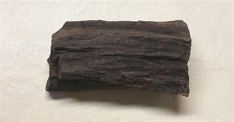 Fossil Album On Imgur