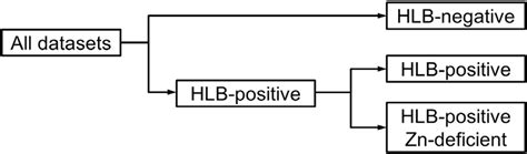 The Two Step Classification Model The Input Samples At Each Step Were