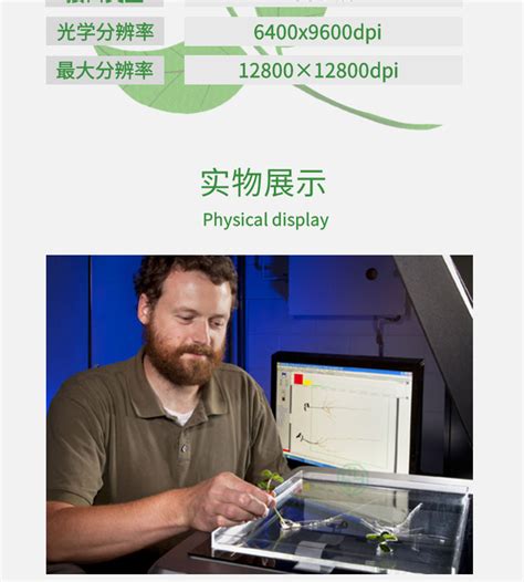 根系分析系统WinRHIZO 3 辽宁赛亚斯科技有限公司