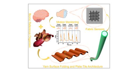 Multidimensional Bionic Structure Based Superhydrophobic And