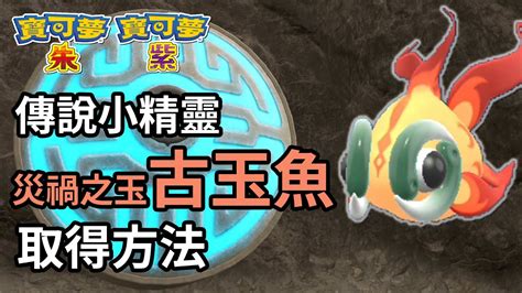 傳說小精靈 四神獸 災禍之玉 古玉魚 取得方法 Pokémon 寶可夢 朱 紫 YouTube