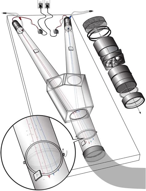 Diagrammatic Representation Of The Newly Constructed Dual Choice