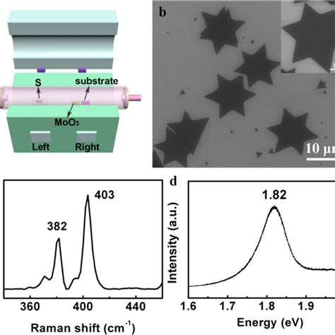 A Schematic Illustration For The Synthesis Of Mos2 Using The Cvd