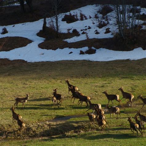 Национален Парк Маврово
