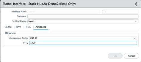 Nominated Discussion Site To Site Ipsec Issue And Mtu Palo Alto Networks