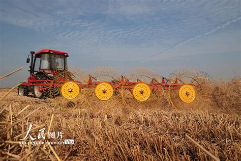 安徽宿松：秸秆利用 环保增效 环保 秸秆 安徽