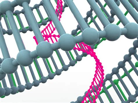 Dna Splitting Stock Photos Royalty Free Dna Splitting Images Depositphotos