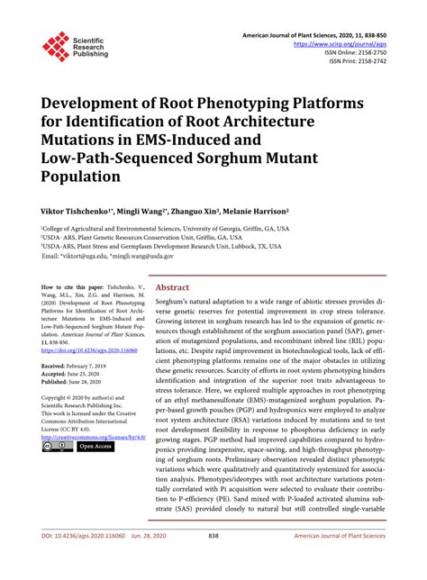 Pdf Development Of Root Phenotyping Platforms For Identification Of