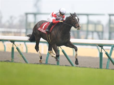 【jra】ダノンプレミアム参戦のクイーンエリザベスs、国内では阪神牝馬sなど本日の注目ポイント 競馬ニュース