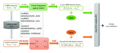 Step Wise Work Flow For The Purposed Lgbm Machine Learning Model