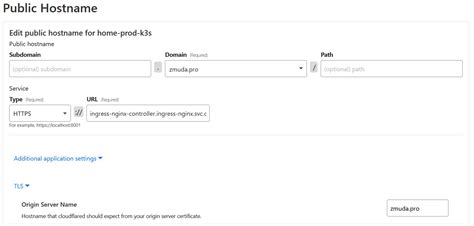 Protect Your Public Website With Cloudflare Tunnels Crowdsec And Nginx Zmudapro
