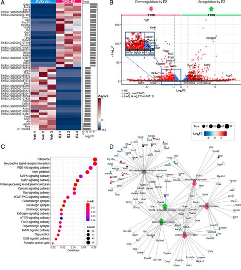 Figure 1 From Transcriptome Profiling Of Kisspeptin Neurons From The