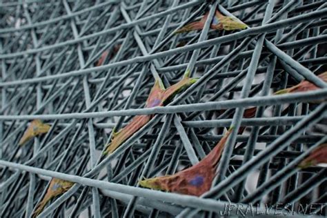 New 3 D Printing Approach Makes Cell Scale Lattice Structures