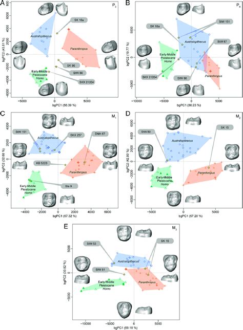 Bivariate Plot Of The Between Group Principal Component Analysis Download Scientific Diagram
