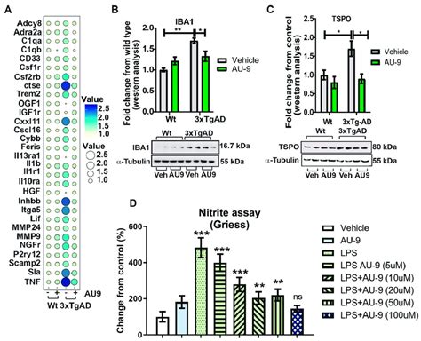 Au9 Reduces Inflammation A Two Step Qrtpcr Analysis Demonstrates By