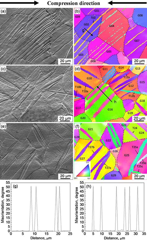 A C E SEM Images And B D F EBSD Orientation Maps Of A B 5 And Download Scientific