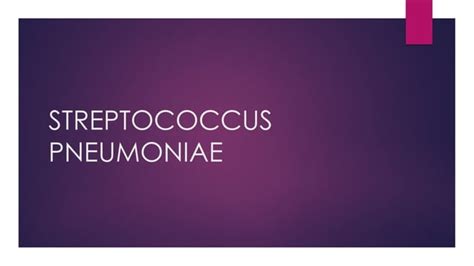 Streptococcus Pneumoniae Streptococcus Slideshare Ppt