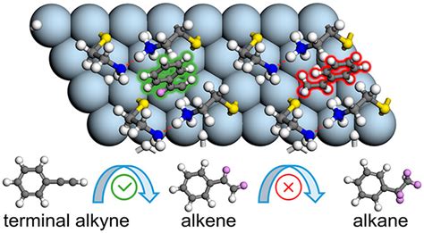 表面配体构筑氢键网络调控加氢选择性 X Mol资讯