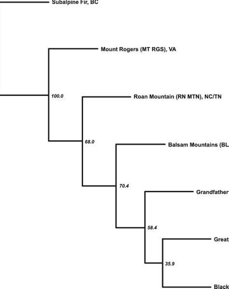 Neighbor Joining Consensus Dendrogram Depicting Chord Genetic Distances