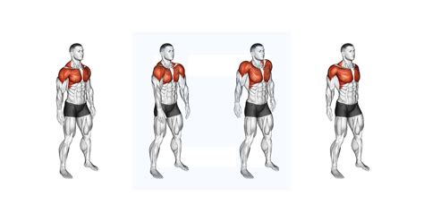 Dumbbell Reverse Grip Row Guide Benefits And Form