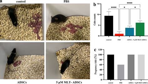 Results Of The Fertility Experiment P Download Scientific Diagram