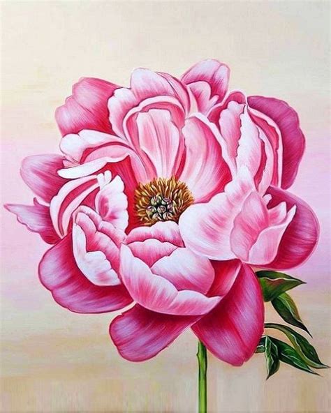 Anna Alexandrova Watercolor Flower Art Peony Drawing Tulips Art