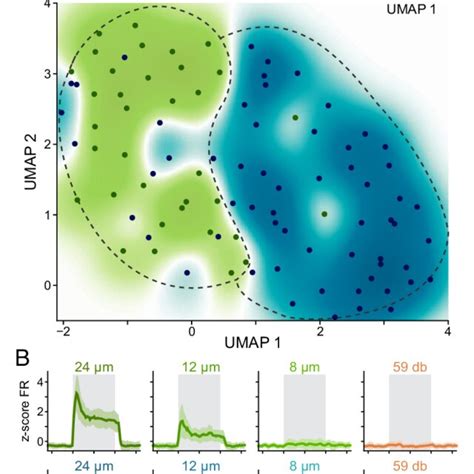 A Density Of 2 D Nonlinear Projection Of The Normalized Neural Download Scientific Diagram
