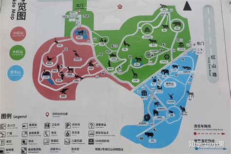 南京红山动物园 知乎