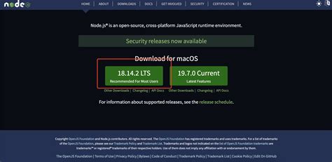 Mac上最简单安装配置多版本nodejs环境 Imwty