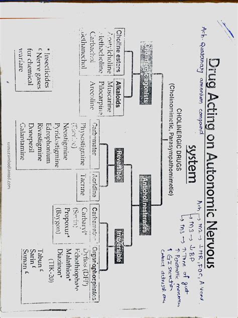 Drug Classification Pdf