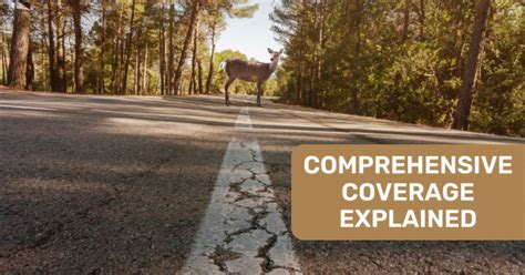 Comprehensive Coverage Explained Hitchings Insurance Agency