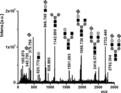 MS MS Fragmentation Pattern Of The Disialylated Biantennary Complex Download Scientific Diagram