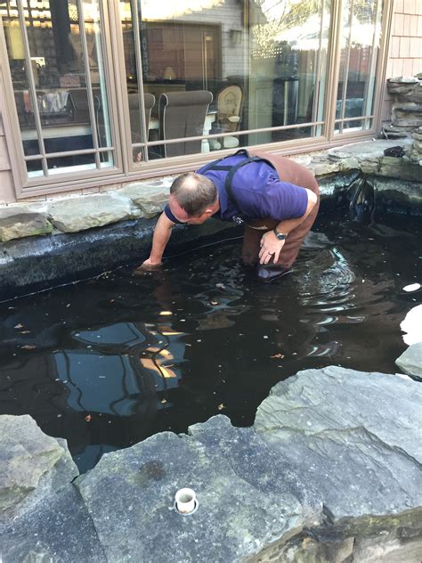 Leak Detection In Ponds The Fish Guy Pond Maintenance Aquarium Maintenance Services Pond