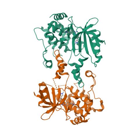 Rcsb Pdb 8cdw Crystal Structure Of Human Hpk1 Map4k1 Complex With