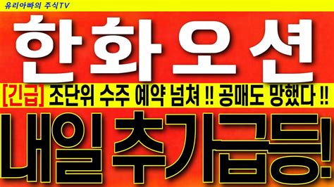 한화오션 주가대응 투자경고 지정요건 해제 초대형 조단위 수주 줄기차게 한화오션목표가 한화오션대응 한화오션전망 한화오션주가전망 Youtube