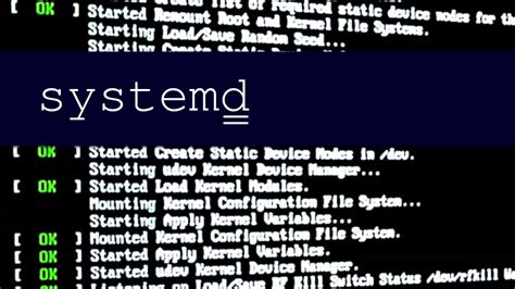 Code Lab Sergey Mosin