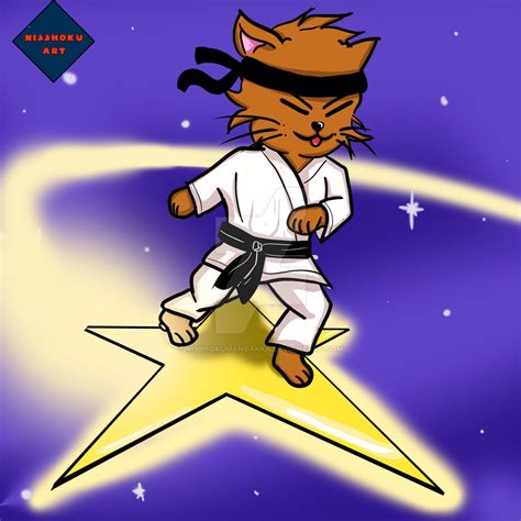 Space Karate Kitty By Nisshokumangakka On Deviantart