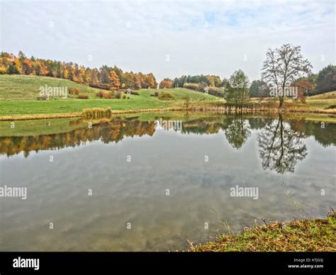 This Title Refers To A Botanical Structure Or Garden Named Bdg Lpkiwbotanik As Of October 24