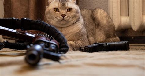 Commando Cat Digs Its Claws Into Exposed Docker Containers Komodosec