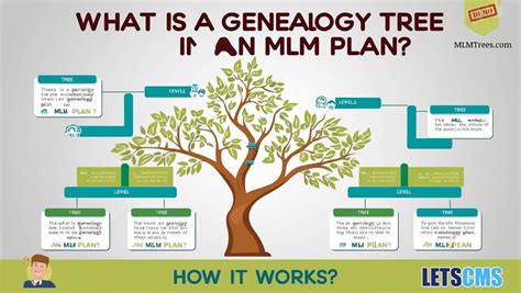Unilevel Mlm Strategy And Calculation Formula Unilevel Multi Level