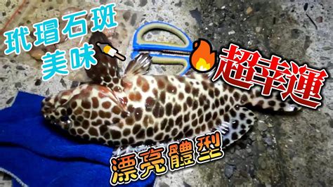 深澳漁港 颱風之後 爆咬 第一天 漂亮體型 美味魚種 玳瑁石斑魚 星點笛鯛 火斑笛鯛 天亞 正餌 岸拋 沉底 鐵板 路亞 軟蟲 喜歡我的影片
